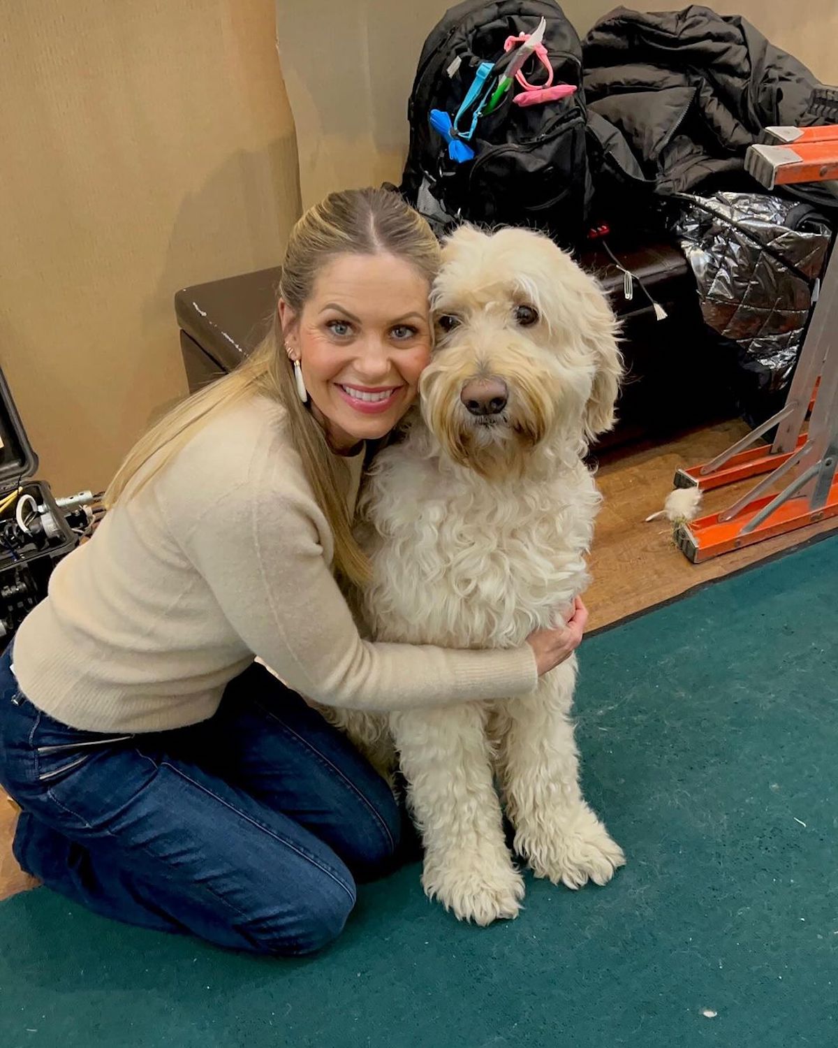 Meet the Cutest Dogs in Great American Family Movies - TV Movie Vaults
